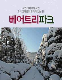 熊之森立公园（BEAR TREE PARK）门票 - Interpark Global